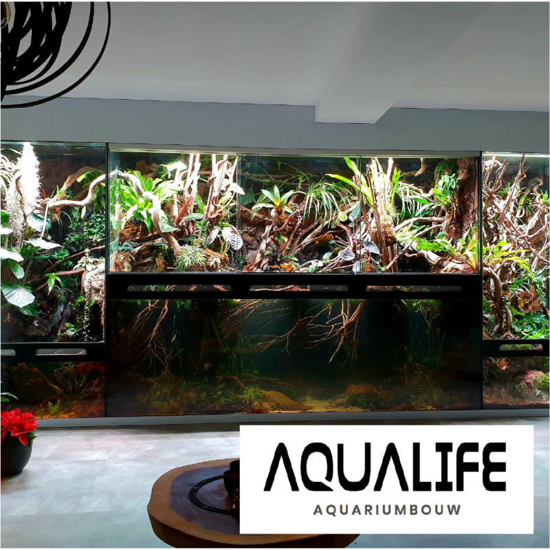 AQUARIUM SUR MESURE - en collaboration avec Aqualife