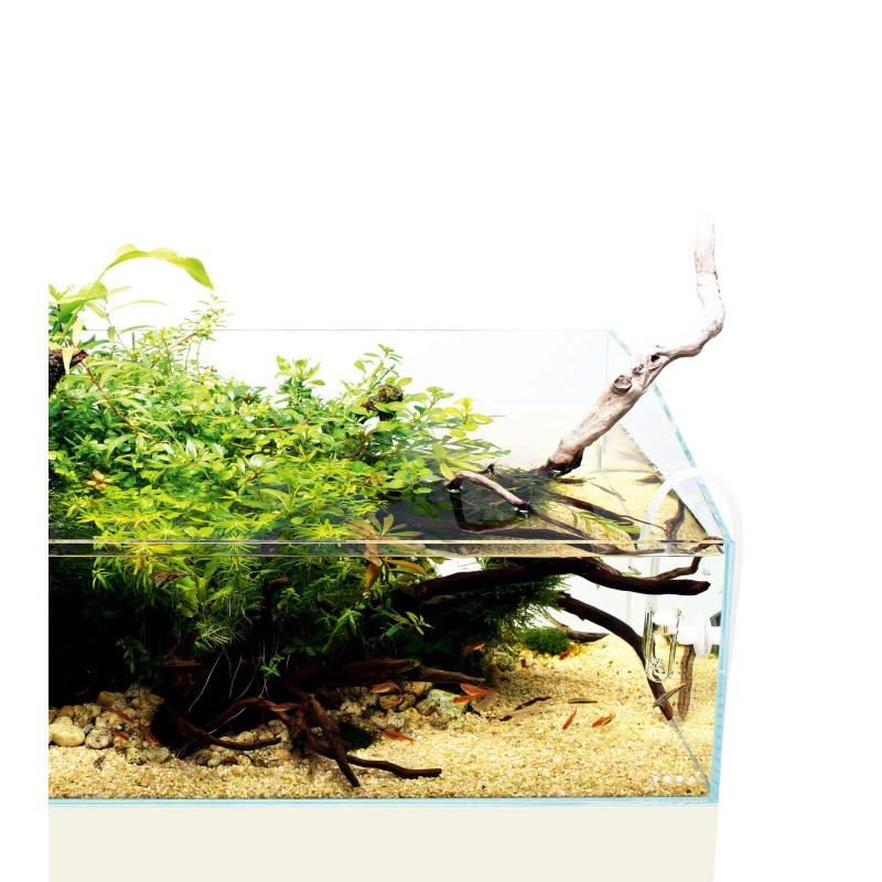 DOOA Neo Glass TERRA